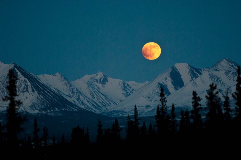 20 Amazing Things to Do in Denali National Park (Photos + Guide)